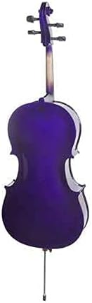 Cecilio Cello CCO-100 for Students 4/4 (Full Size) with Bow, Case, Str ...