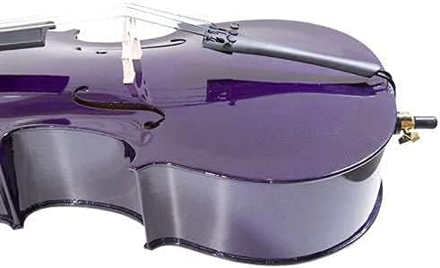 Cecilio Cello CCO-100 for Students 4/4 (Full Size) with Bow, Case, Str ...