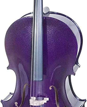 Cecilio Cello CCO-100 for Students 4/4 (Full Size) with Bow, Case, Str ...